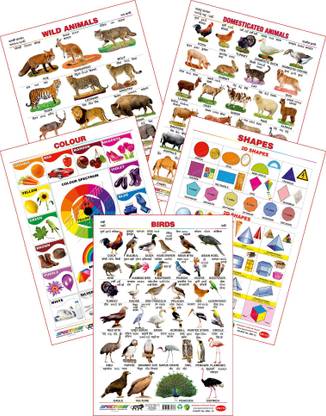 Spectrum Set of 5 Educational Large Wall Charts : ( Wild Animals ...