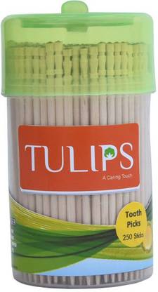 TULIP Dental Floss-Toothpick | Buy Oral/Dental Care Products in India ...