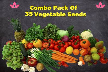 VibeX 35+ Variety of Indian Vegetable Seeds- (2000+ Seeds) Seed Price ...