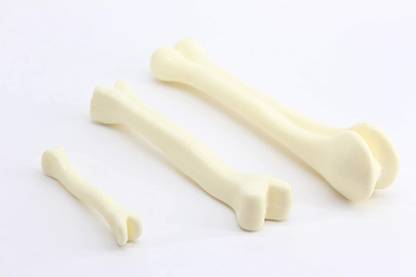 Are Plastic Dog Bones Safe