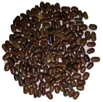 Saisha International Dhaincha/Prikly Sesban/Sesbania bispinosa ...