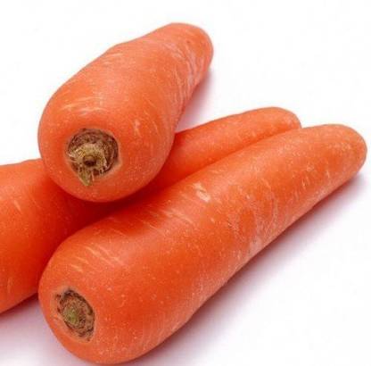 YOUNG STAR UY35 BEST SELLER PREMIUM 1000 SEEDS OF REDDISH CARROTS ...