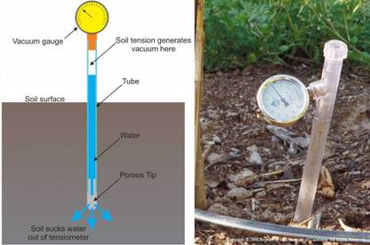 Nsaw SOIL TENSIOMETER Analog Anemometer Price in India - Buy Nsaw SOIL ...