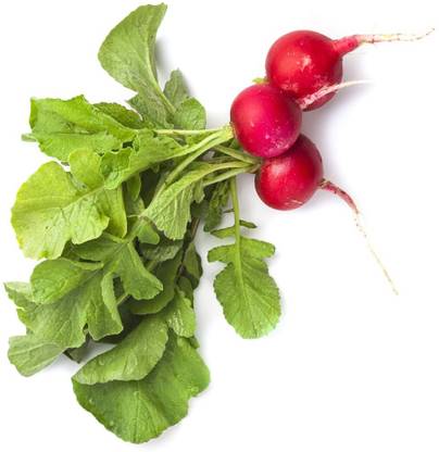 YOUNG STAR RED RADISH Seed Price in India - Buy YOUNG STAR RED RADISH ...