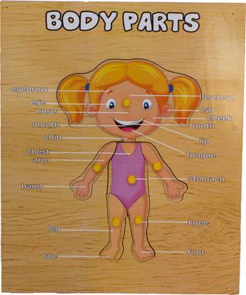 moreyaji Wooden Parts of Body parts girls Tray with Knob Puzzle Toy for ...
