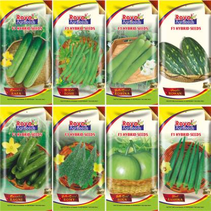 ROYAL AGRISEEDS CUCUMBER RAFA, CUCUMBER RAGNI, TARKAKRI ROSIE, BITTER ...
