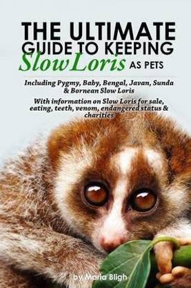 The Ultimate Guide to Keeping Slow Loris as Pets Including Pygmy, Baby, Bengal, Javan, Sunda ...