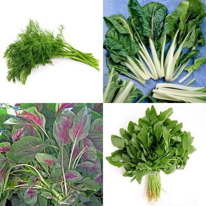 Lysithea Soya Bhaji, Swiss Chard, Thankdu Keerai and Chaulai Green Seed ...