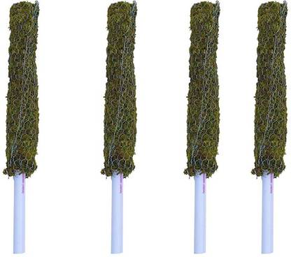 Dr Arya Moss-Stick-2ft-Packof4 Garden Mulch Price in India - Buy Dr ...