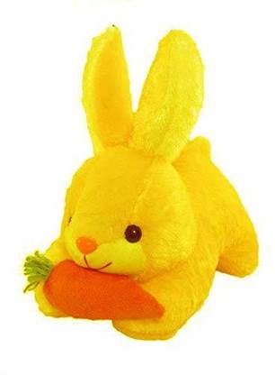 Softlife Rabbit with Carrot Stuffed Plush Animal Soft Toy for Baby ...