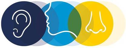 ENT Posters ,Diseases of Ear, Nose and Throat Middle Ear Infections ...