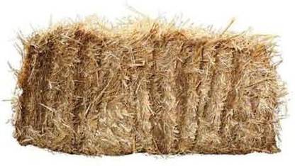 A. D. Enterprise Rice Straw, Paddy Straw, Substrate for Mushroom ...