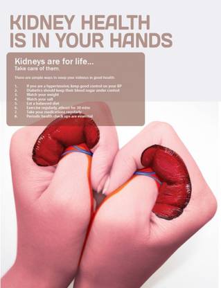 Human Kidney Anatomy Poster for Hospital Poster Nursing Home Poster ...
