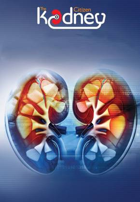 Human Kidney Anatomy Poster for Hospital Poster Nursing Home Poster ...