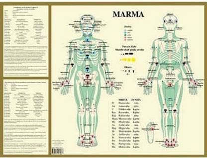 Marma -- A2 Poster: Buy Marma -- A2 Poster by Baarle Jan van at Low ...