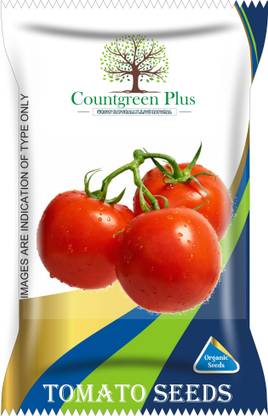 Countgreen Plus Tomato (Tamatar) Vegetable Seeds Seed Price in India ...