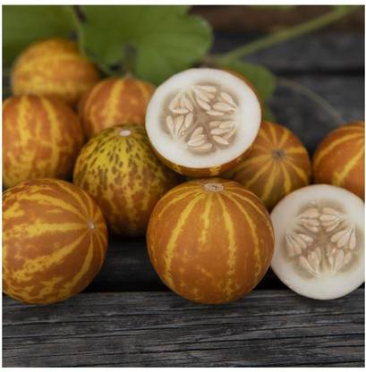 ishika Wild Melon/ Kachri Seed Price in India - Buy ishika Wild Melon ...