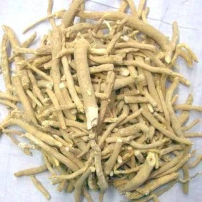 DAIVISH Aak Root Seed Price in India - Buy DAIVISH Aak Root Seed online ...