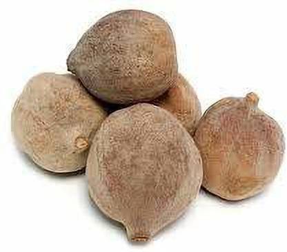 Nutrixia food Baheda , bedda nuts,Terminalia bellirica,Bahera Seed ...