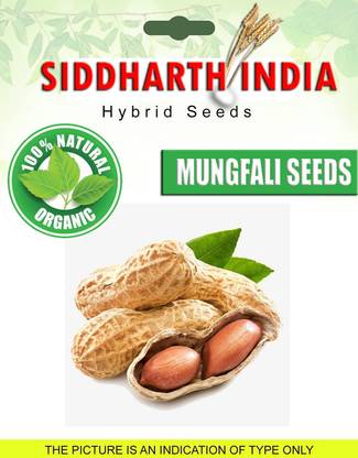 SIDDHARTH ORGANIC MUNGFALI Seed Price in India - Buy SIDDHARTH ORGANIC ...