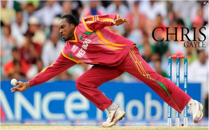 IPL Cricket Flex Poster for Room B36 Paper Print - Abstract, Decorative ...