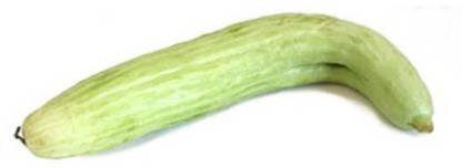 YOUNG STAR KAKRI SEEDS, Long Melon Kakri SEEDS, Cucumber Kakdi Seeds ...