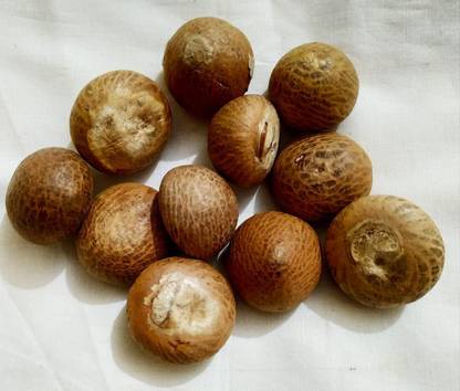 KRISHNAVI Supari for Poojan and Havan / Poojan and Havan Supari Bigger ...