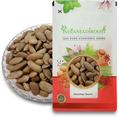 IndianJadiBooti Kanchan champak Michelia Champaca Seeds, 100 Grams Pack ...