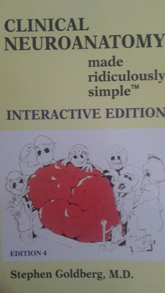 Neuroanatomy made ridiculously simple - lasopaexcellent