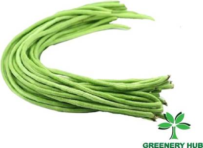 Greenery Hub Lobia Seed Price in India - Buy Greenery Hub Lobia Seed ...