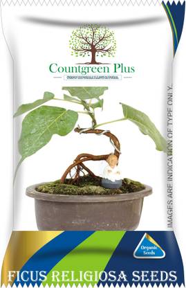 Countgreen Plus Ficus Religiosa (Pipal) Tree Seeds Seed Price in India ...