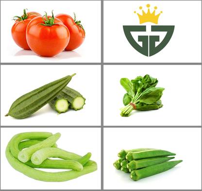 GRO GOLDEN SEEDS Spinach (Palak), Okra (Bhindi, Lady Finger), Ridge ...