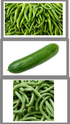 GRO GOLDEN SEEDS long melon seeds, cucumber, chilli Seed Price in India ...