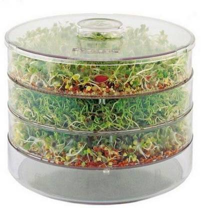 SEMSARA Plastic Hygienic Sprout Maker Box with 4 Container Organic Home ...