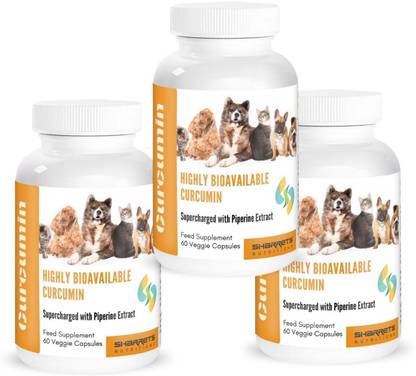 Is Turmeric Safe For Dogs And Cats