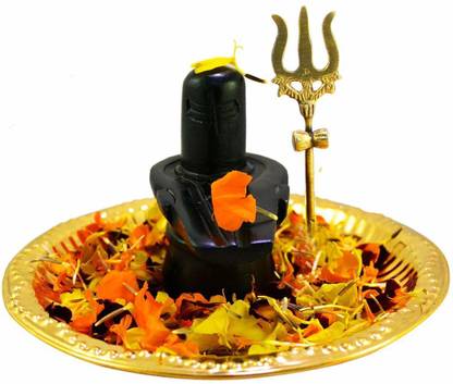 NAVYAKSH Shaligram Shiva Ling Lingam Statue Hindu Puja Brass Plate with ...
