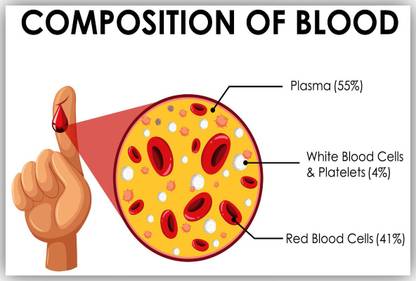 composition of blood posters for sudent Fine Art Print - Art ...