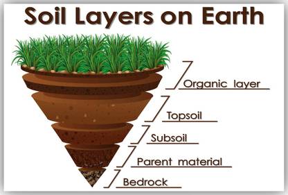 Soil layers on earth posters for students Fine Art Print - Art ...