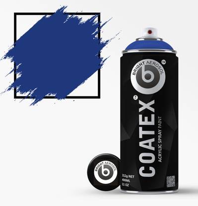 COATEX DIY, Quick Drying with Gloss finish for Metal, Wood, Canvas and ...