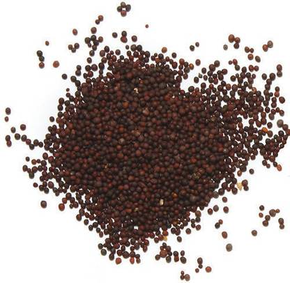 V Seed Sarso Mustard Seed Seed Price in India - Buy V Seed Sarso ...