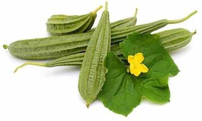 Audbhidhi Ridge Gourd/Tori Hybrid Summer Vegetable Seeds Combo Pack for ...