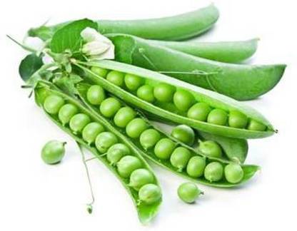 Audhav Green Pea Vegetable Seeds For Summer Season Home Gardening Seed ...