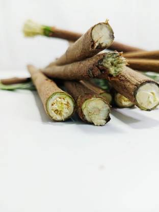 wiffo generation neem stick giloy Seed Price in India - Buy wiffo ...