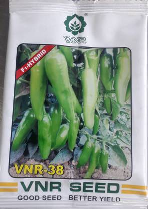 Pushpa VNR-38 chilli Seed Price in India - Buy Pushpa VNR-38 chilli ...