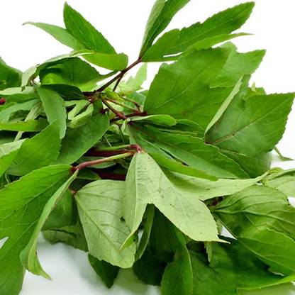 rmd Ambada/Gongura Seed Price in India - Buy rmd Ambada/Gongura Seed ...