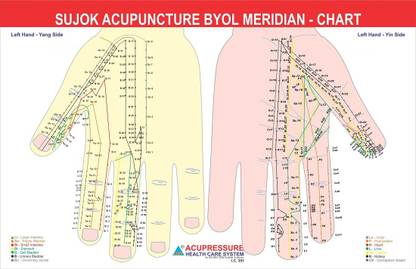 Sujok Byol Meridian Chart Paper Print - Educational posters in India ...
