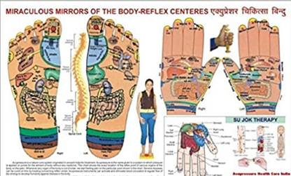 Acupressure + Sujok Chart Paper Print - Educational posters in India ...