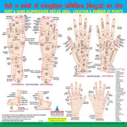 Reflex Area_Numbers Charts Acupressure Paper Print - Educational ...