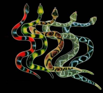 TOYICO! Glowing Snake Toy | Prank Toy for Kids (Pack of 1 ) 1 Unit ...