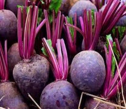 GROUNDOXY BEST QUALITY HYBRID BEETROOT(CHUKANDER) SEEDS FOR YOUR HOME ...